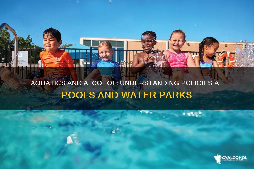 Aquatics And Alcohol: Understanding Policies At Pools And Water Parks ...