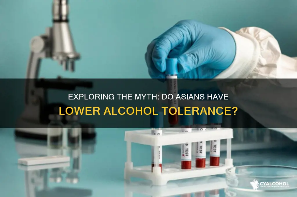 Exploring The Myth: Do Asians Have Lower Alcohol Tolerance? | CyAlcohol