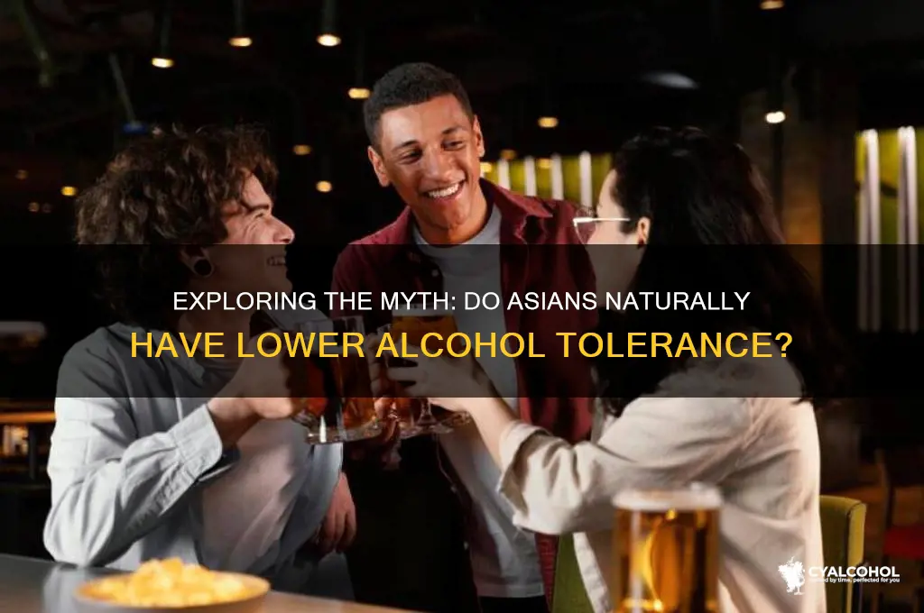 Exploring The Myth: Do Asians Naturally Have Lower Alcohol Tolerance ...