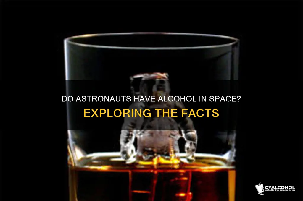 Do Astronauts Have Alcohol In Space? Exploring The Facts | CyAlcohol
