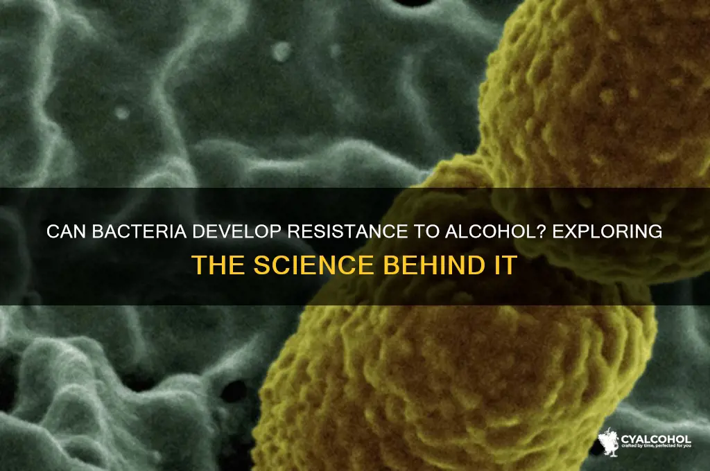 Can Bacteria Develop Resistance To Alcohol? Exploring The Science ...