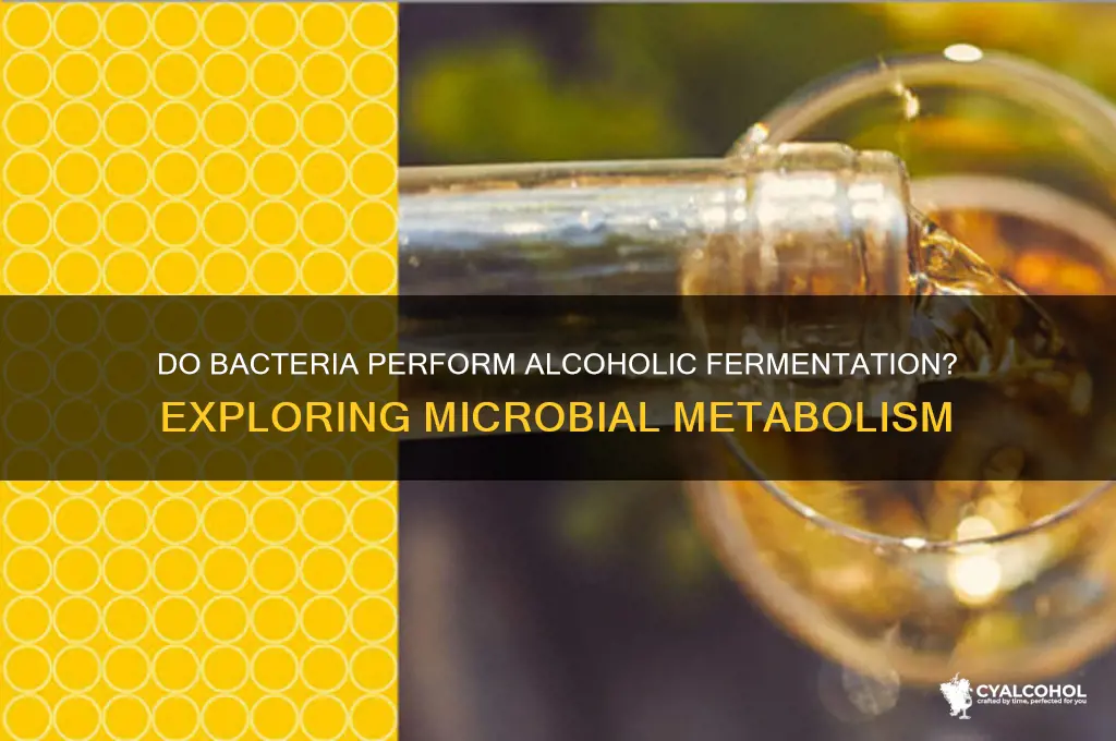 Do Bacteria Perform Alcoholic Fermentation? Exploring Microbial ...