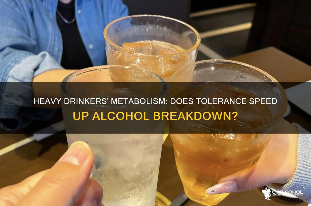 Heavy Drinkers' Metabolism: Does Tolerance Speed Up Alcohol Breakdown ...
