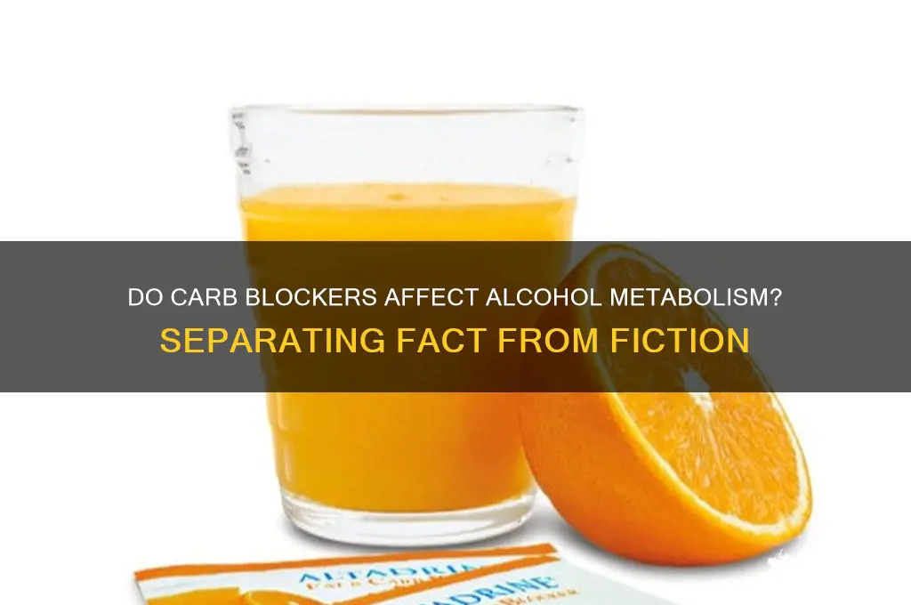 Do Carb Blockers Affect Alcohol Metabolism? Separating Fact From ...