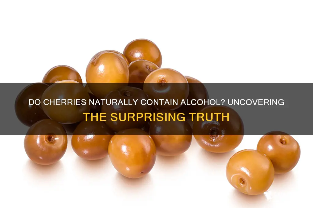 Do Cherries Naturally Contain Alcohol? Uncovering The Surprising Truth ...