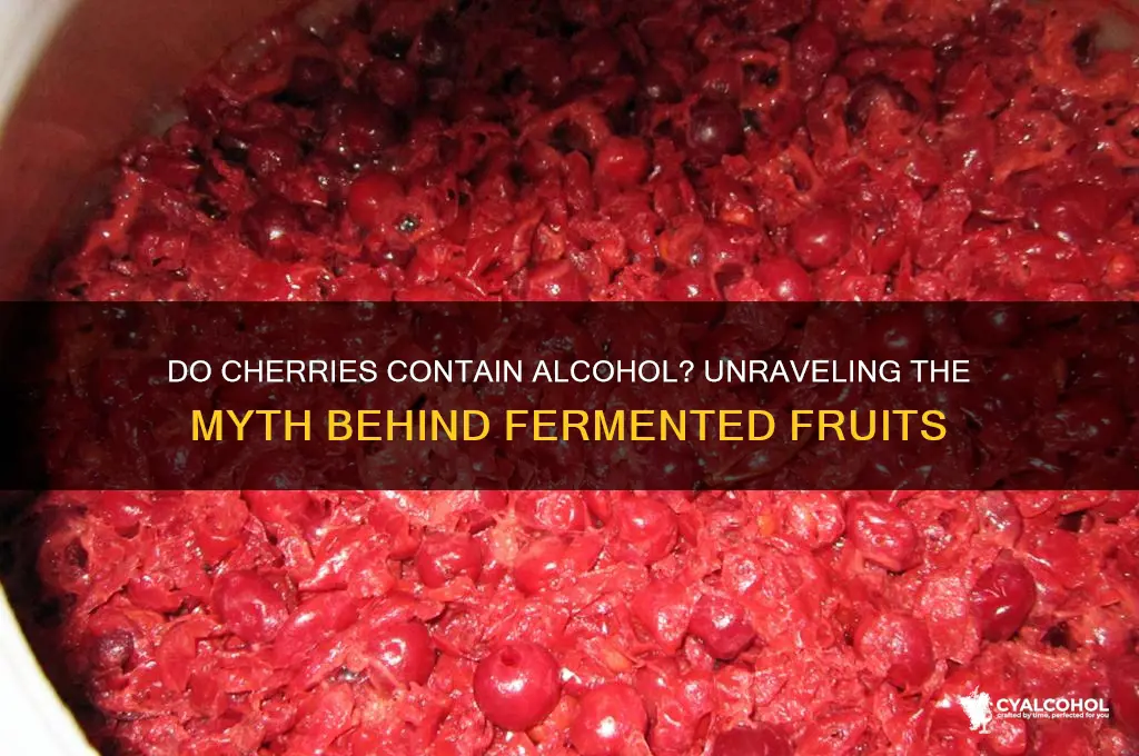 Do Cherries Contain Alcohol? Unraveling The Myth Behind Fermented ...