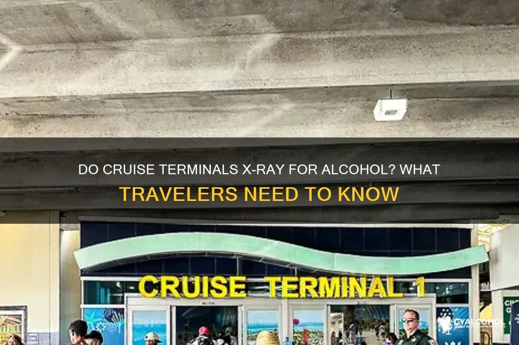 Do Cruise Terminals X-Ray For Alcohol? What Travelers Need To Know ...
