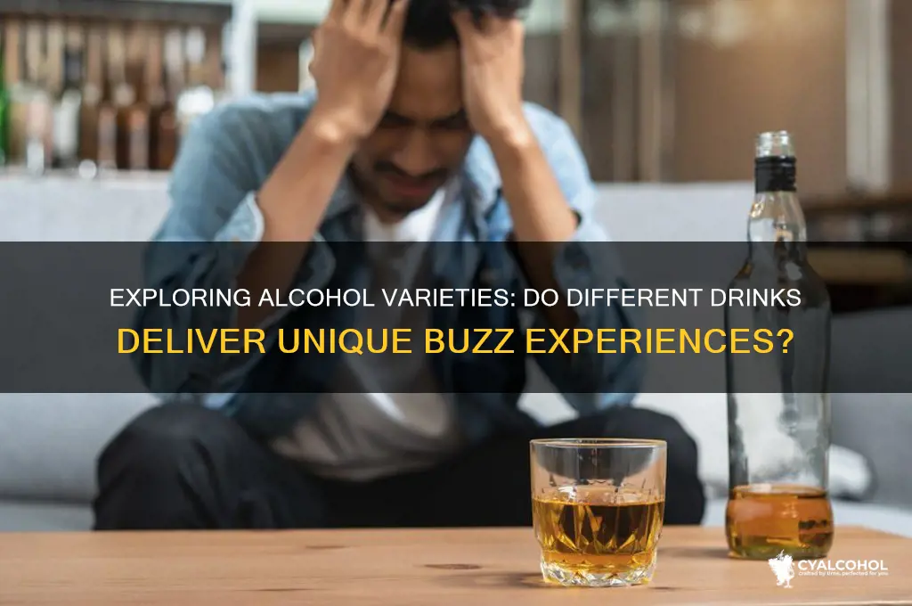 Exploring Alcohol Varieties: Do Different Drinks Deliver Unique Buzz ...