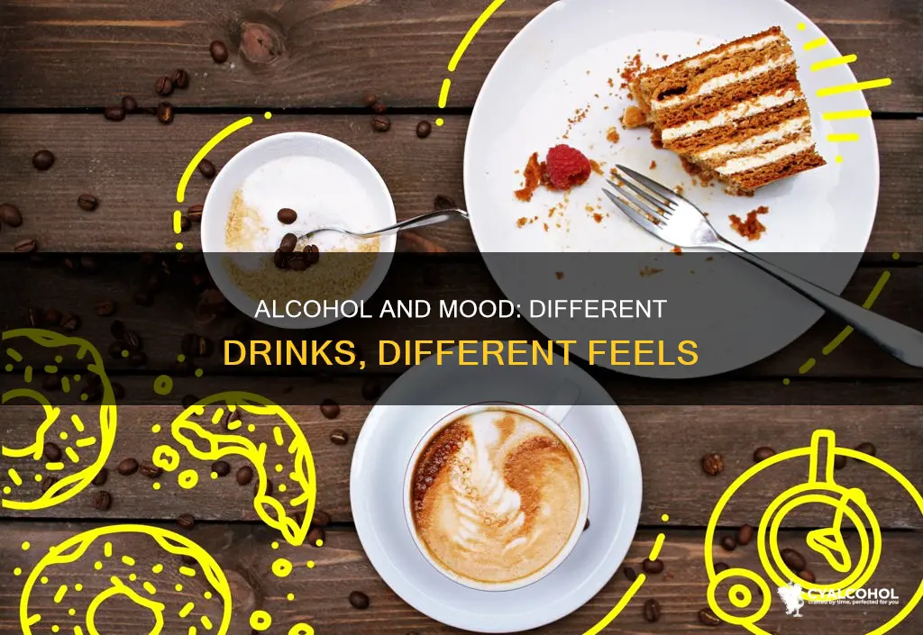 Alcohol And Mood: Different Drinks, Different Feels | CyAlcohol