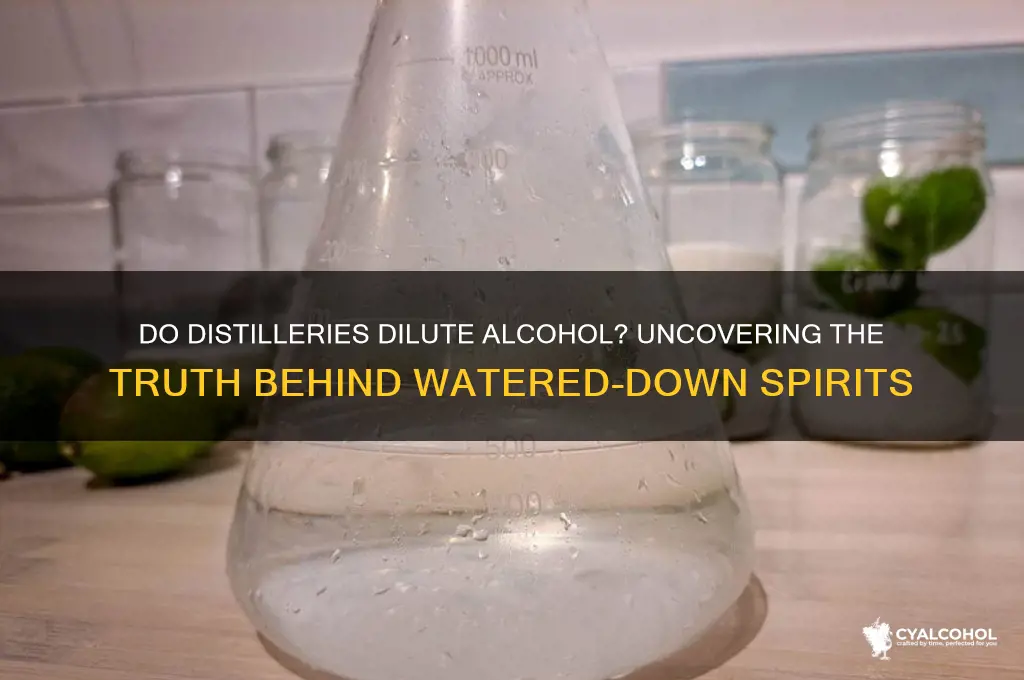 Do Distilleries Dilute Alcohol? Uncovering The Truth Behind Watered ...