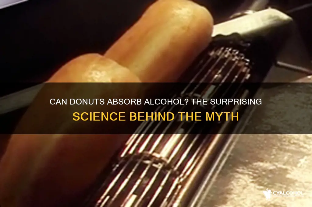 Can Donuts Absorb Alcohol? The Surprising Science Behind The Myth ...