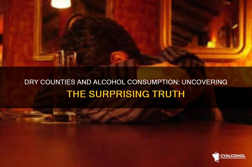 Dry Counties And Alcohol Consumption: Uncovering The Surprising Truth ...