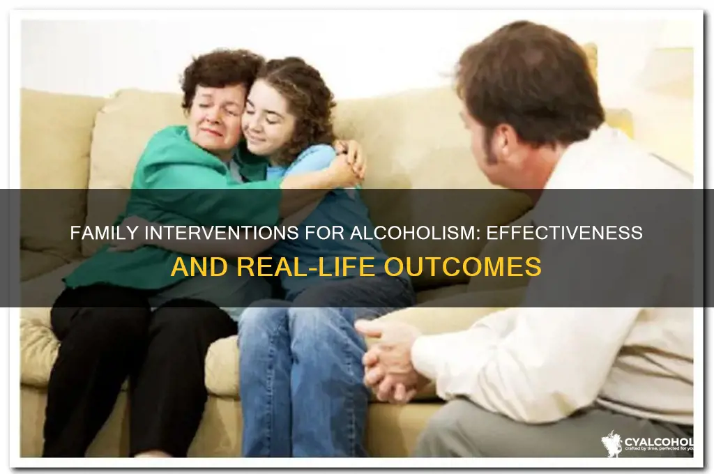 Family Interventions For Alcoholism: Effectiveness And Real-Life ...