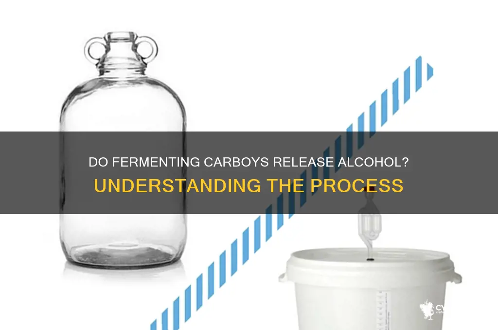 Do Fermenting Carboys Release Alcohol? Understanding The Process ...