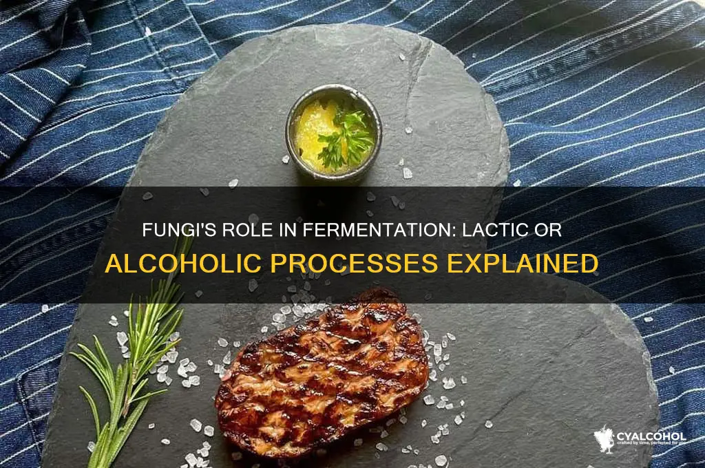 Fungi's Role In Fermentation: Lactic Or Alcoholic Processes Explained ...