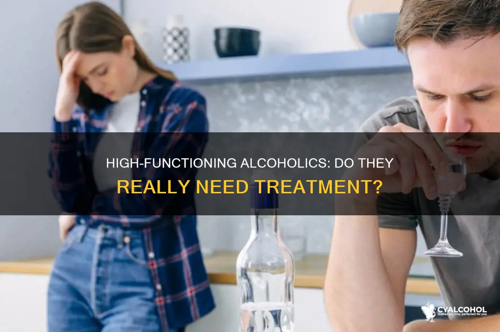 High-Functioning Alcoholics: Do They Really Need Treatment? | CyAlcohol