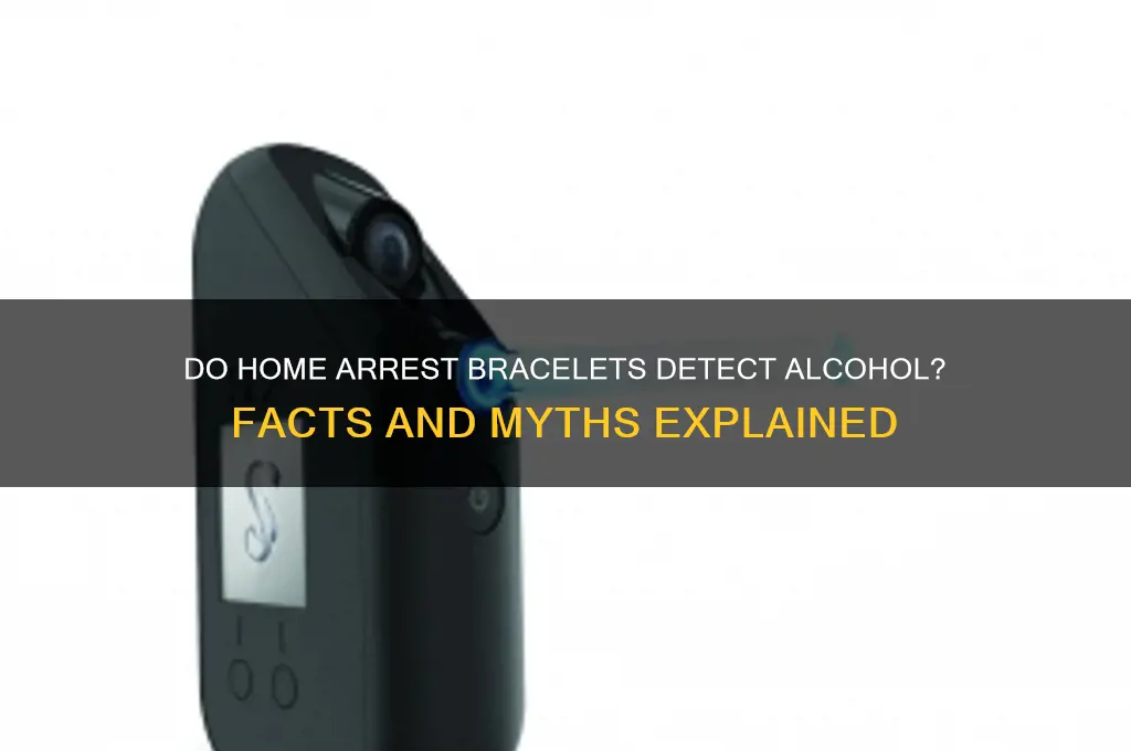 Do Home Arrest Bracelets Detect Alcohol? Facts And Myths Explained ...