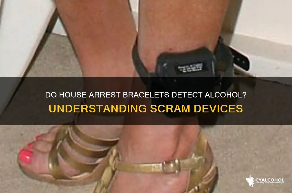 Do House Arrest Bracelets Detect Alcohol? Understanding Scram Devices ...
