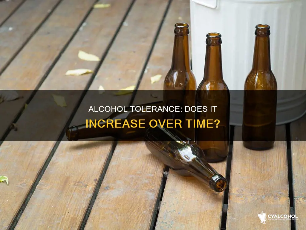 Alcohol Tolerance: Does It Increase Over Time? | CyAlcohol