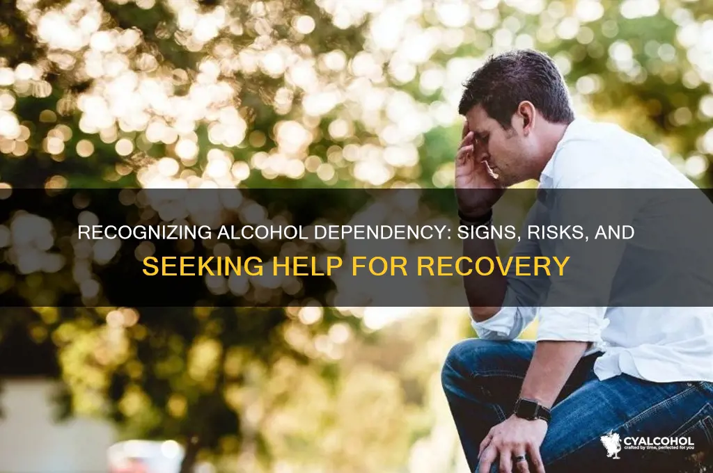 Recognizing Alcohol Dependency: Signs, Risks, And Seeking Help For ...