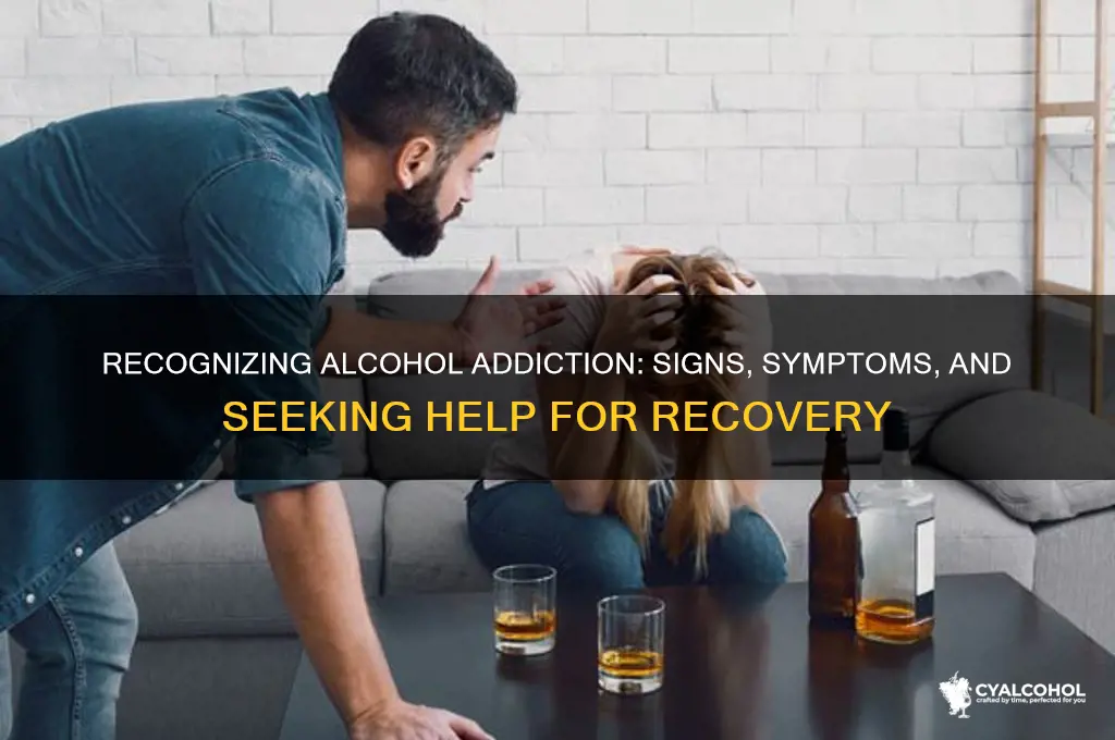 Recognizing Alcohol Addiction: Signs, Symptoms, And Seeking Help For ...