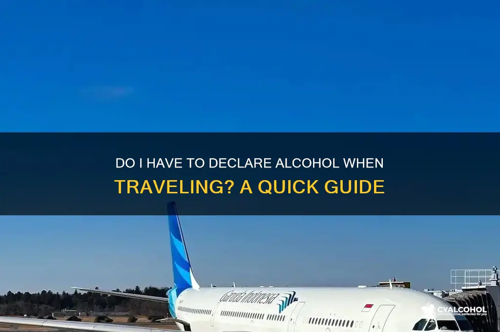 Do I Have To Declare Alcohol When Traveling? A Quick Guide | CyAlcohol