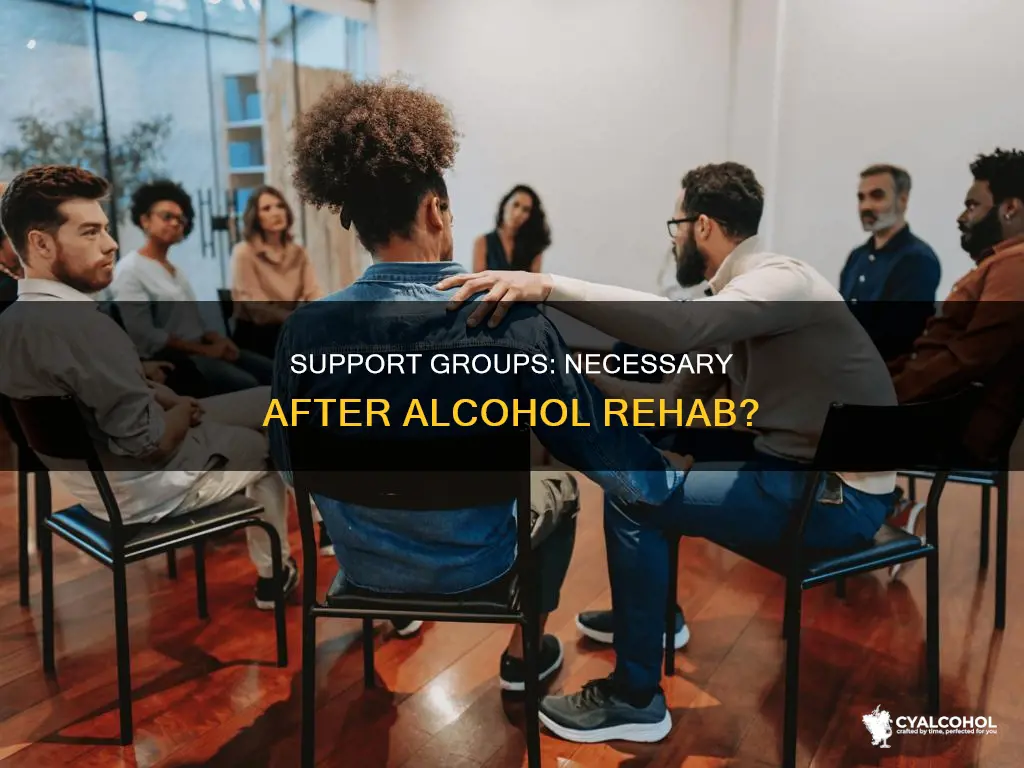 Support Groups: Necessary After Alcohol Rehab? | CyAlcohol
