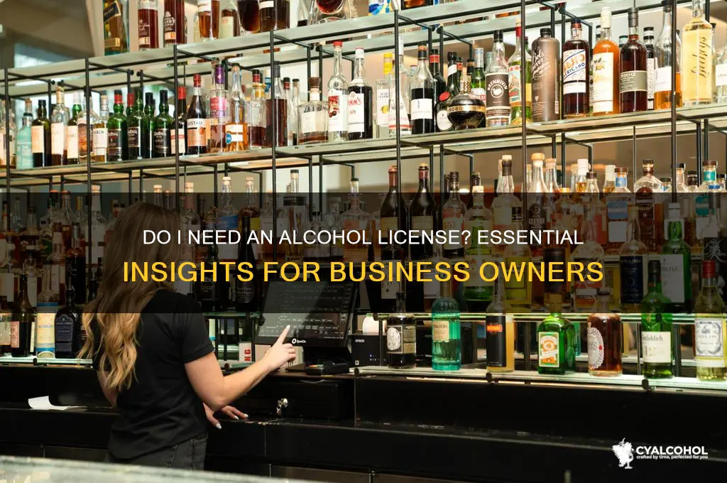 Do I Need An Alcohol License? Essential Insights For Business Owners ...