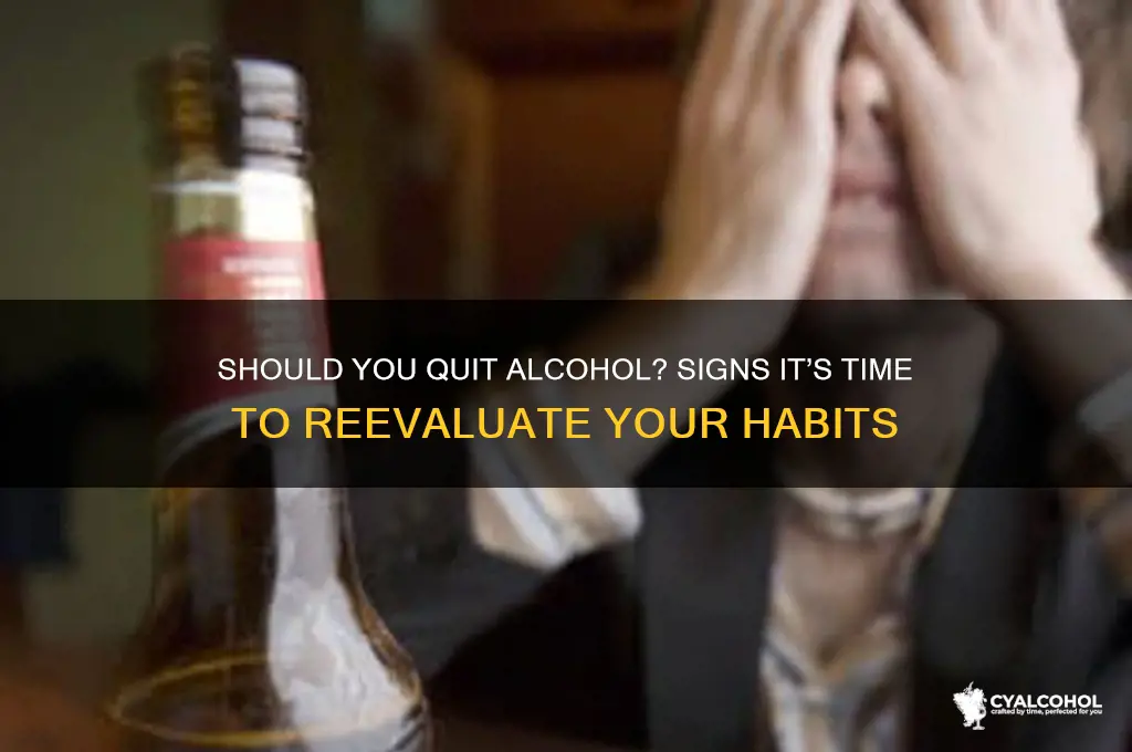 Should You Quit Alcohol? Signs It’S Time To Reevaluate Your Habits ...