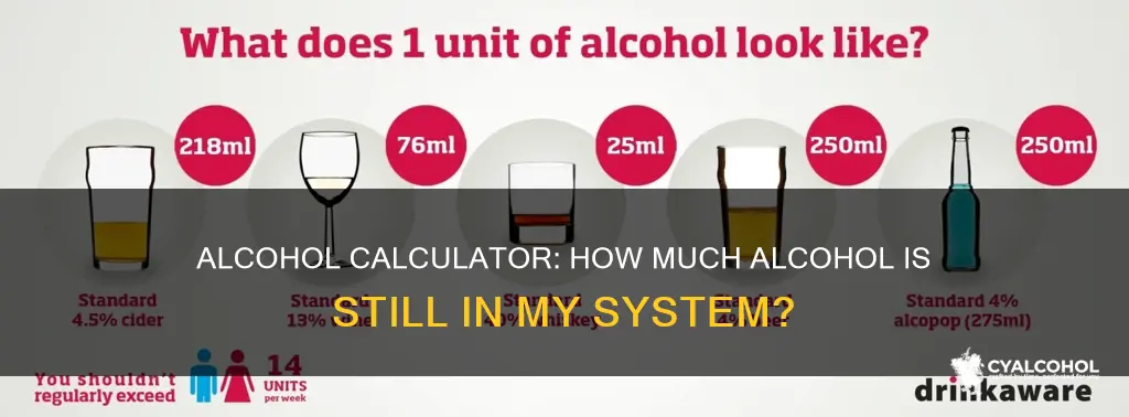 Alcohol Calculator: How Much Alcohol Is Still In My System? | CyAlcohol