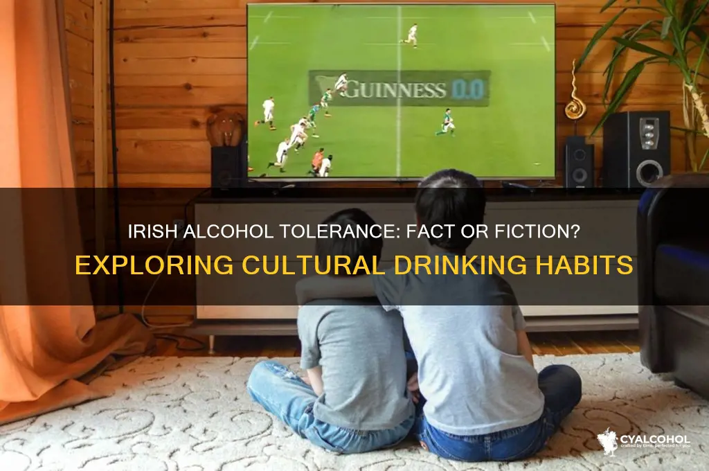 Irish Alcohol Tolerance: Fact Or Fiction? Exploring Cultural Drinking ...