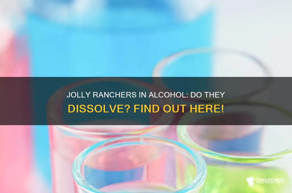 Jolly Ranchers In Alcohol: Do They Dissolve? Find Out Here! | CyAlcohol