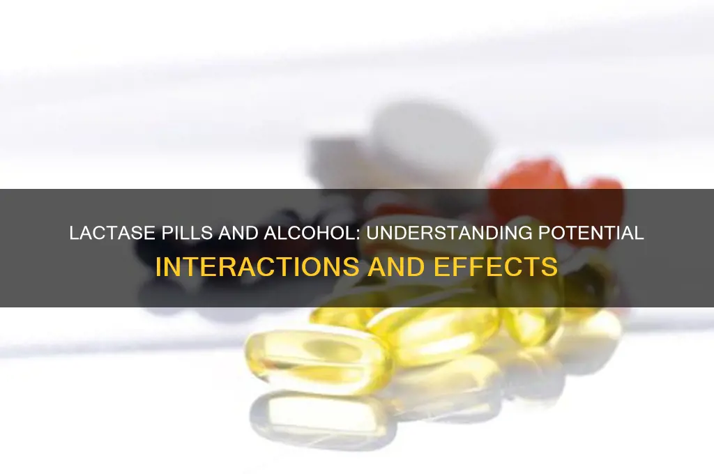 Lactase Pills And Alcohol: Understanding Potential Interactions And ...