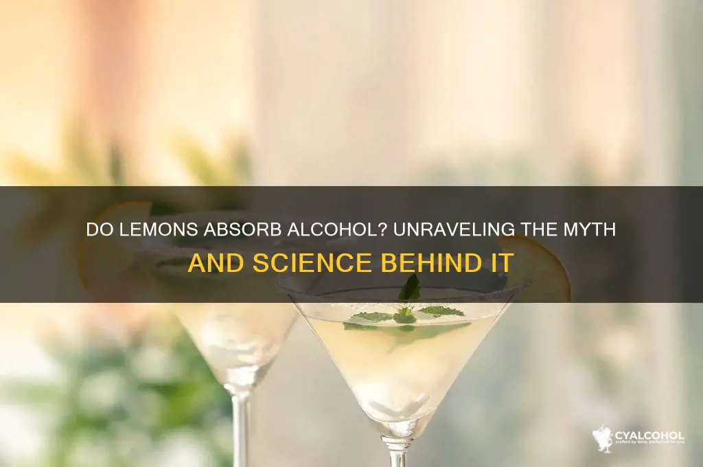 Do Lemons Absorb Alcohol? Unraveling The Myth And Science Behind It ...