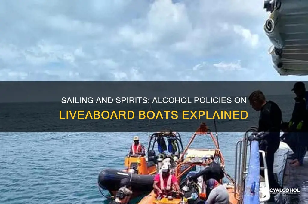Sailing And Spirits: Alcohol Policies On Liveaboard Boats Explained ...
