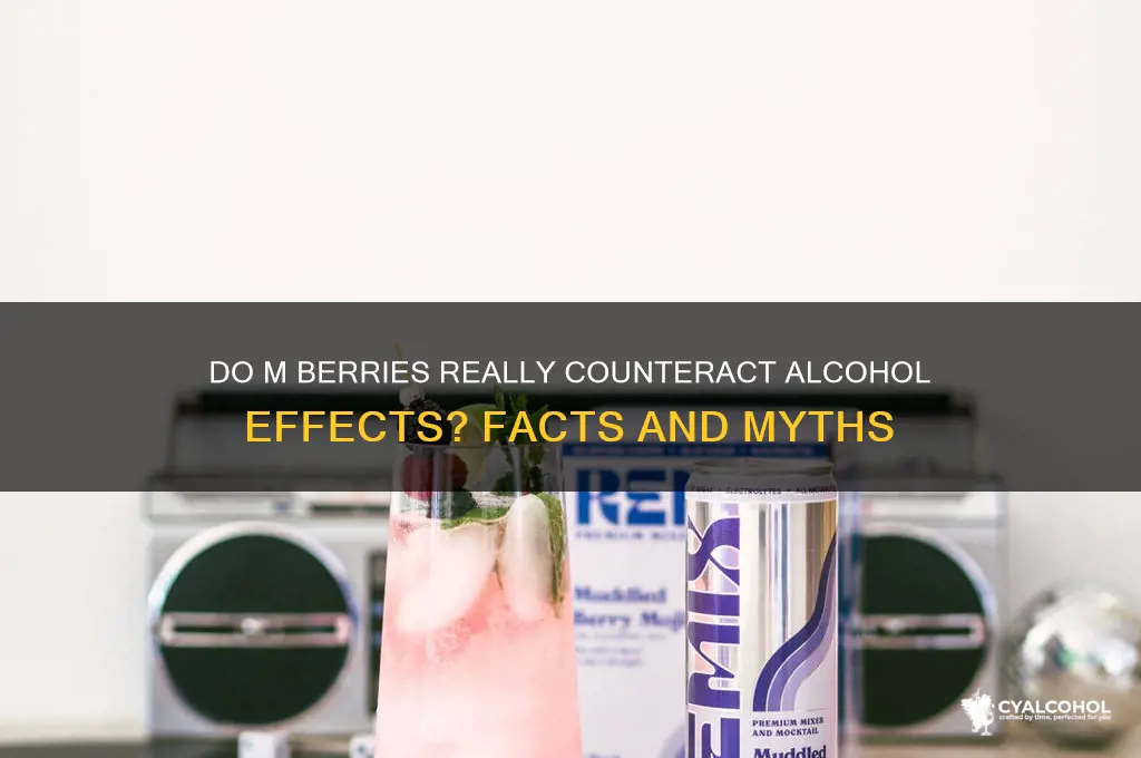 Do M Berries Really Counteract Alcohol Effects? Facts And Myths | CyAlcohol