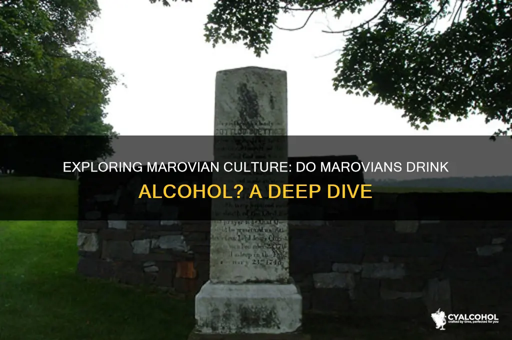 Exploring Marovian Culture: Do Marovians Drink Alcohol? A Deep Dive ...