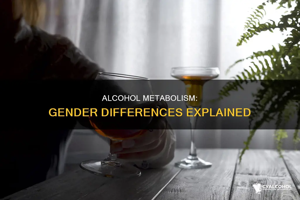 Alcohol Metabolism: Gender Differences Explained | CyAlcohol