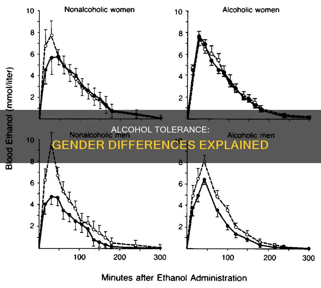 Alcohol Tolerance: Gender Differences Explained | CyAlcohol