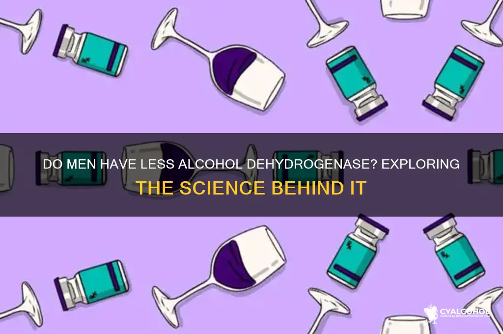 Do Men Have Less Alcohol Dehydrogenase? Exploring The Science Behind It ...