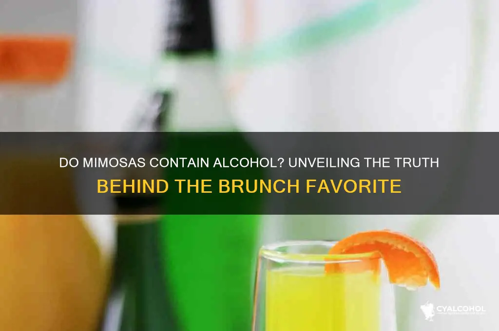 Do Mimosas Contain Alcohol? Unveiling The Truth Behind The Brunch ...