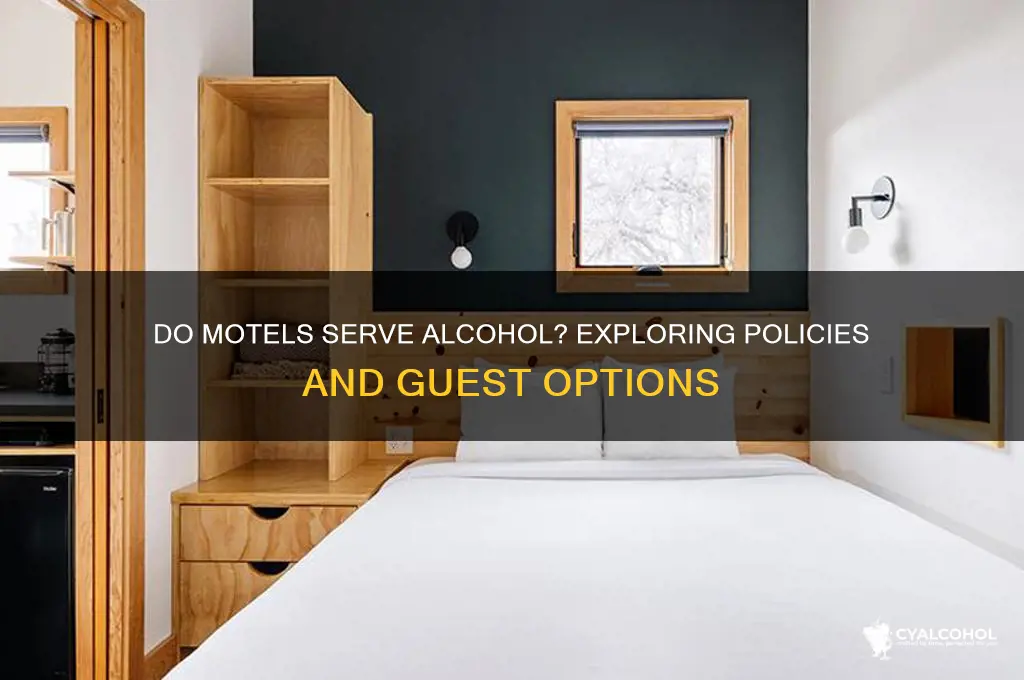 Do Motels Serve Alcohol? Exploring Policies And Guest Options | CyAlcohol