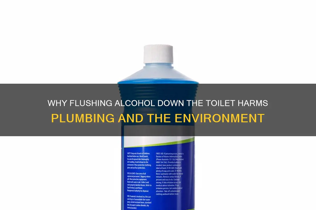 Why Flushing Alcohol Down The Toilet Harms Plumbing And The Environment ...