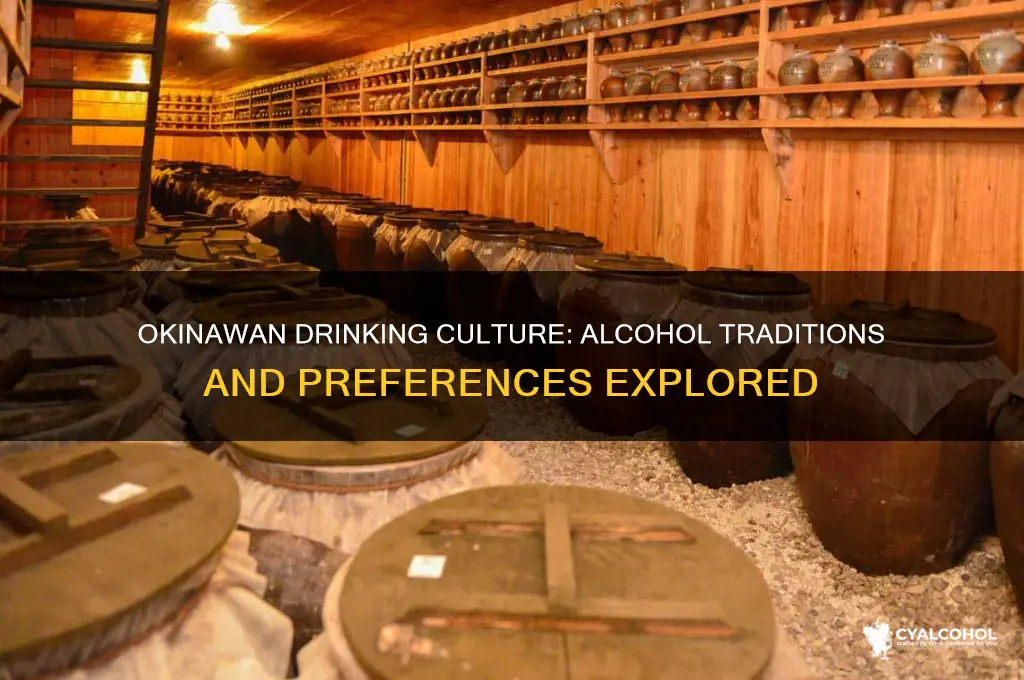 Okinawan Drinking Culture: Alcohol Traditions And Preferences Explored ...