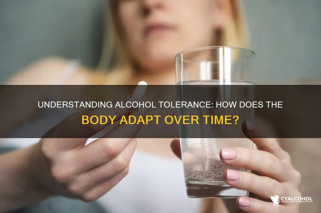 Understanding Alcohol Tolerance: How Does The Body Adapt Over Time ...