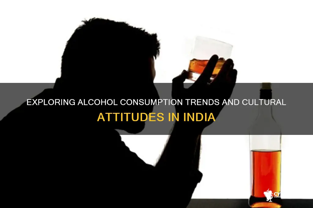 Exploring Alcohol Consumption Trends And Cultural Attitudes In India ...