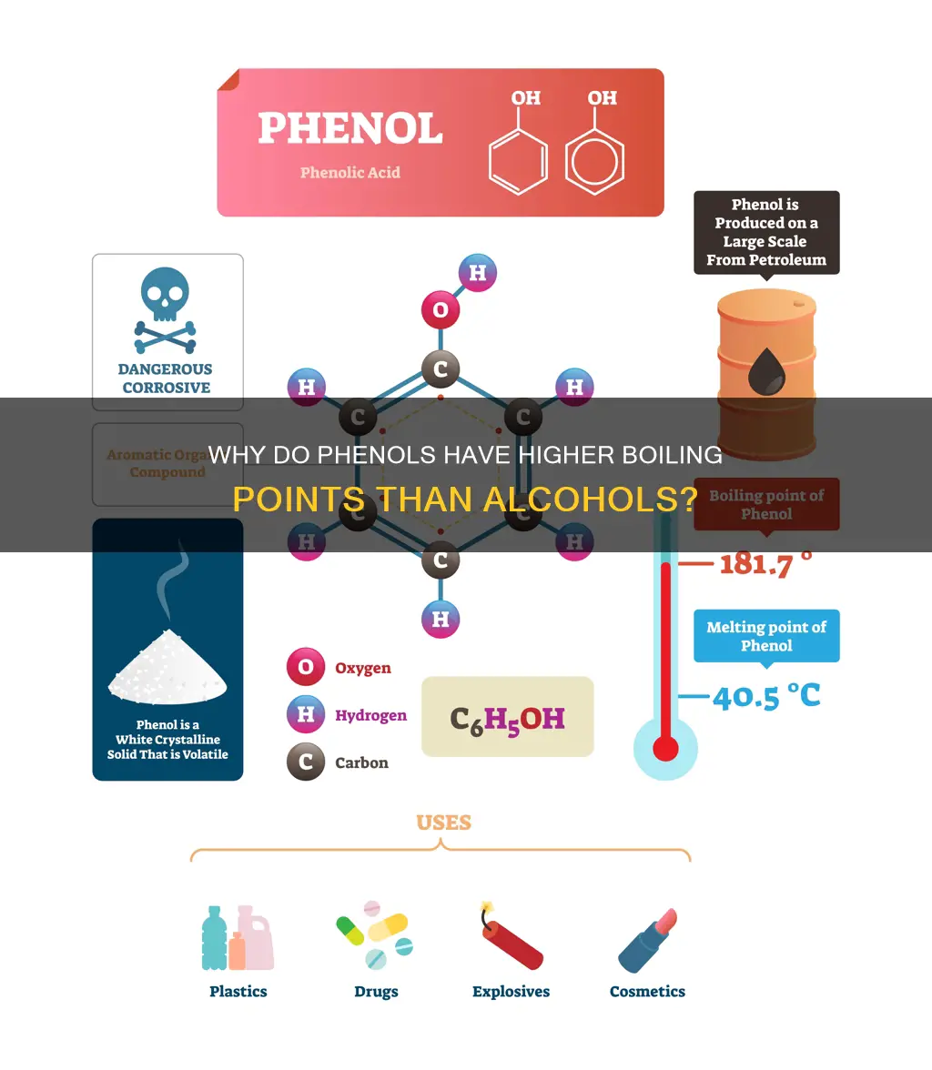 Why Do Phenols Have Higher Boiling Points Than Alcohols? | CyAlcohol