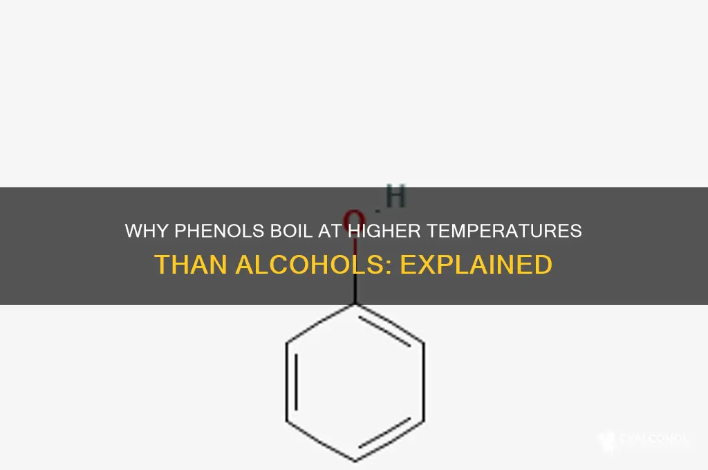 Why Phenols Boil At Higher Temperatures Than Alcohols: Explained ...