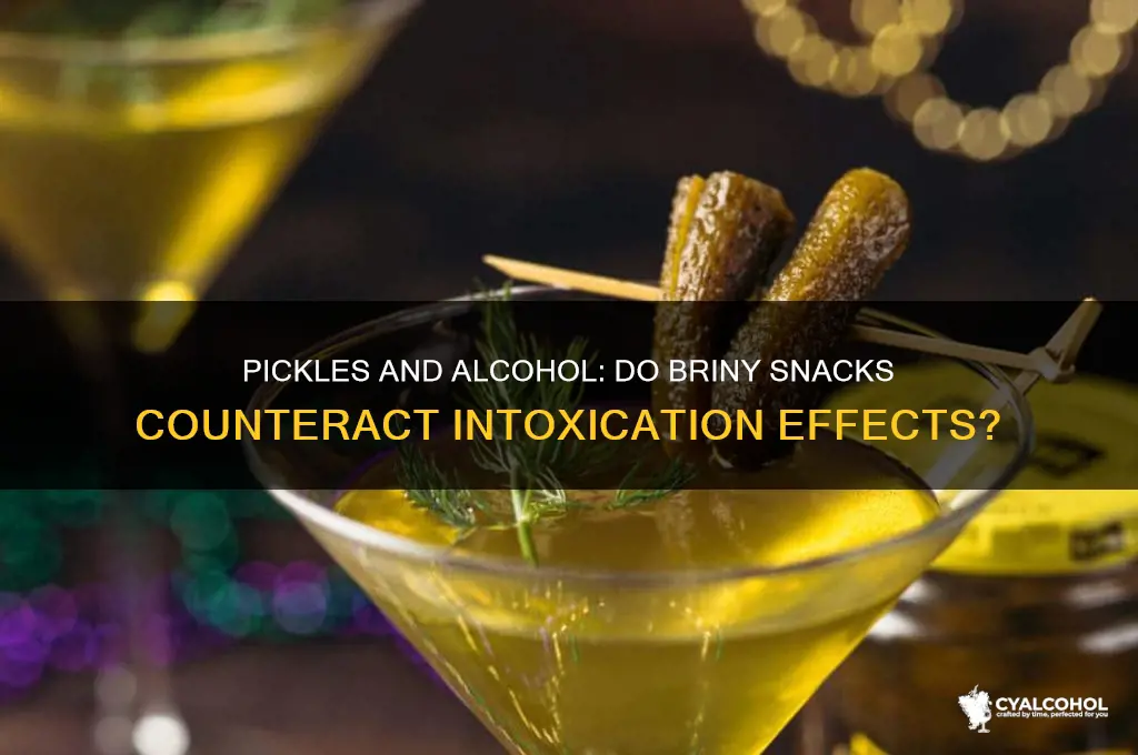 Pickles And Alcohol: Do Briny Snacks Counteract Intoxication Effects ...