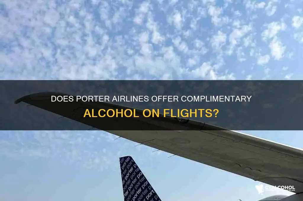 Does Porter Airlines Offer Complimentary Alcohol On Flights? | CyAlcohol